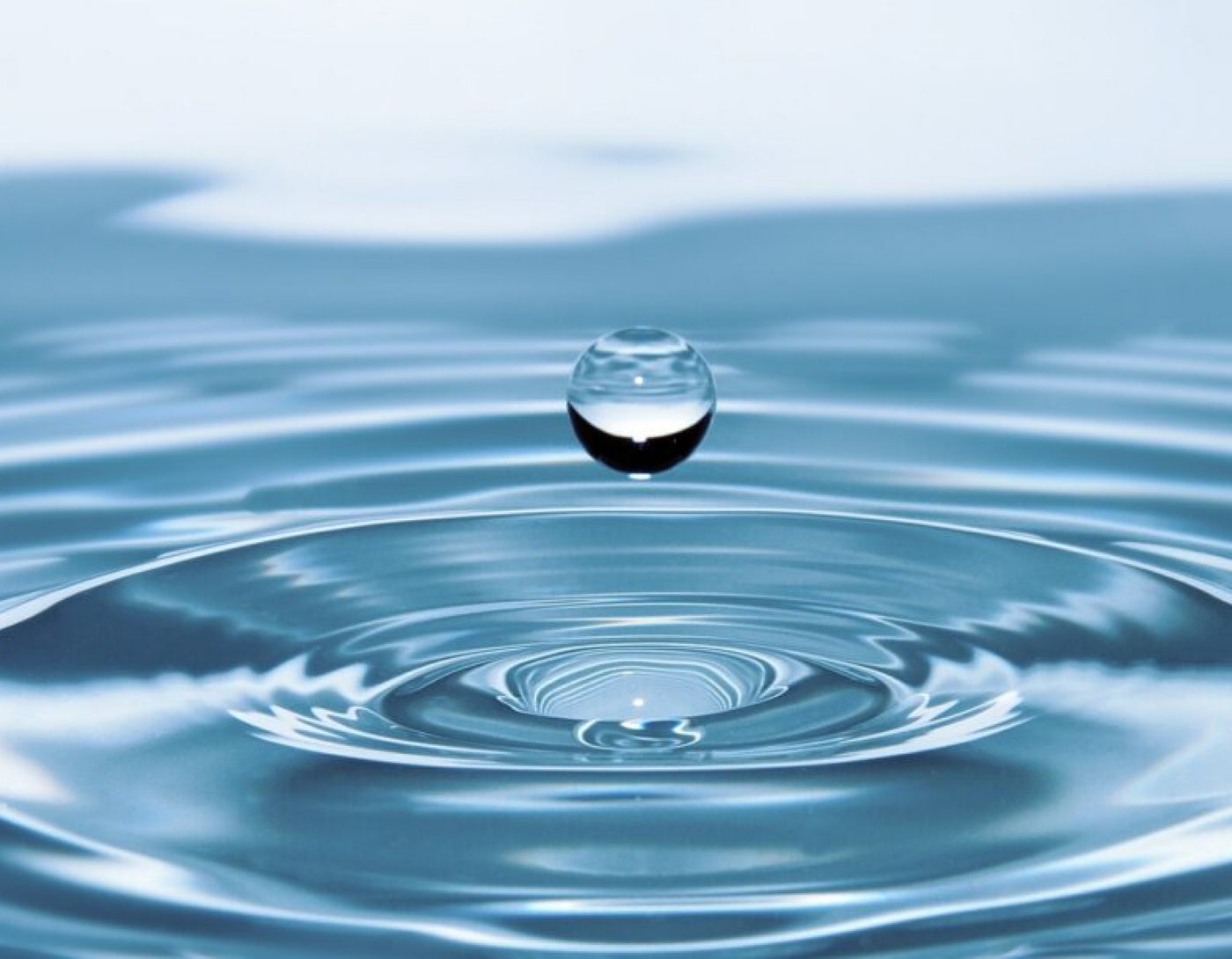 How to Use Cliradex? & how to use Eyelid Cleansers- Cliradex® – PRN ...