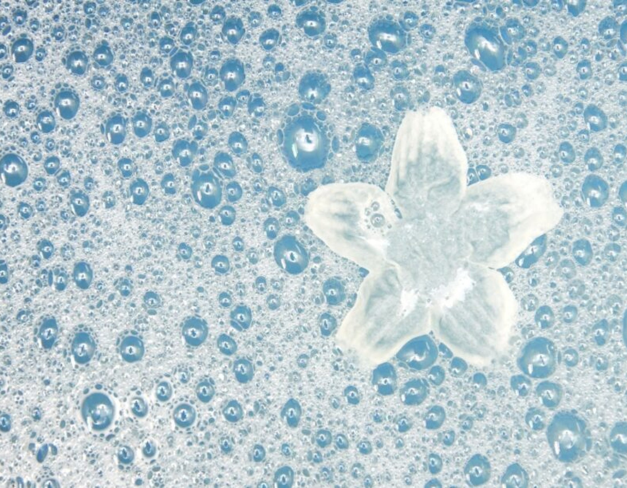 How to Use Cliradex? & how to use Eyelid Cleansers- Cliradex® – PRN ...