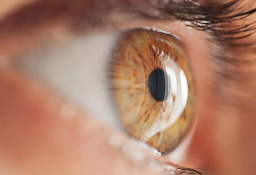 Macular Shield™ Zinc Free – AREDS2-Based - Doctor's Advantage® – PRN ...